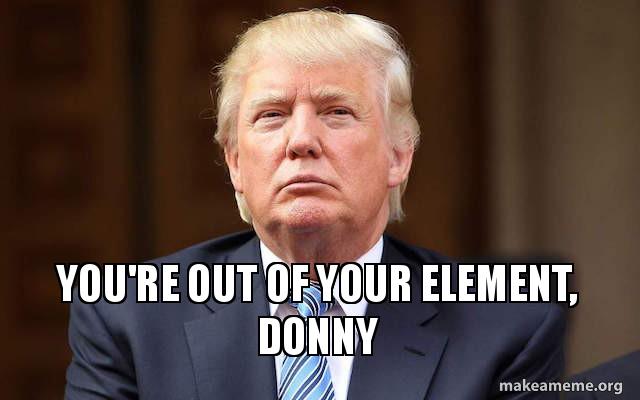 You're out of your element, Donny Meme Generator