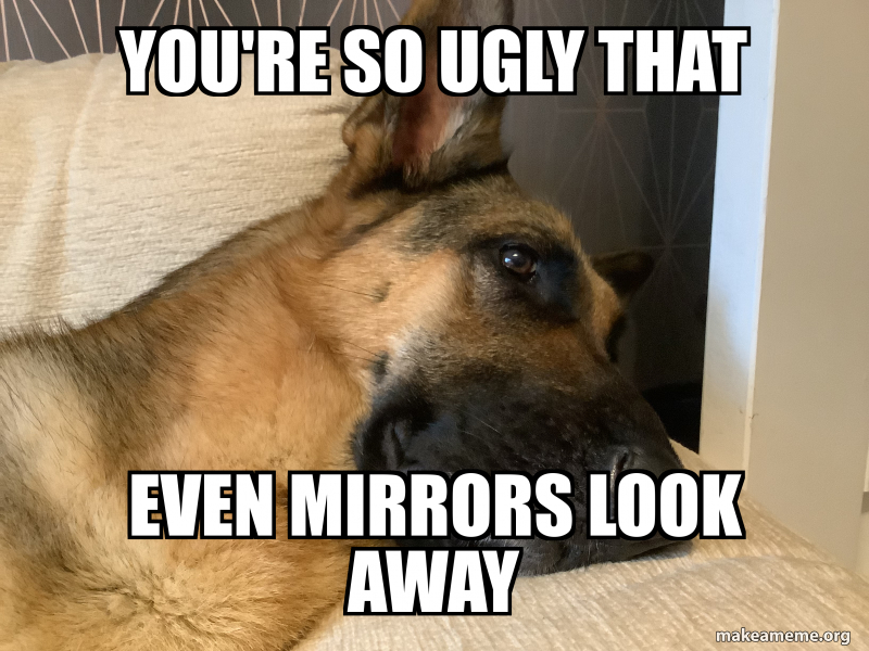 You're so ugly that even mirrors look away Meme Generator