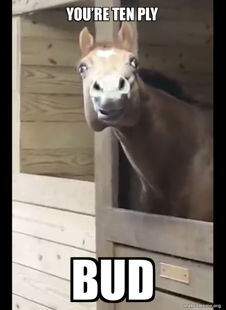 you’re ten ply bud Meme Generator