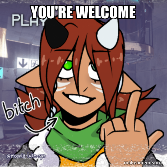 you're welcome Meme Generator