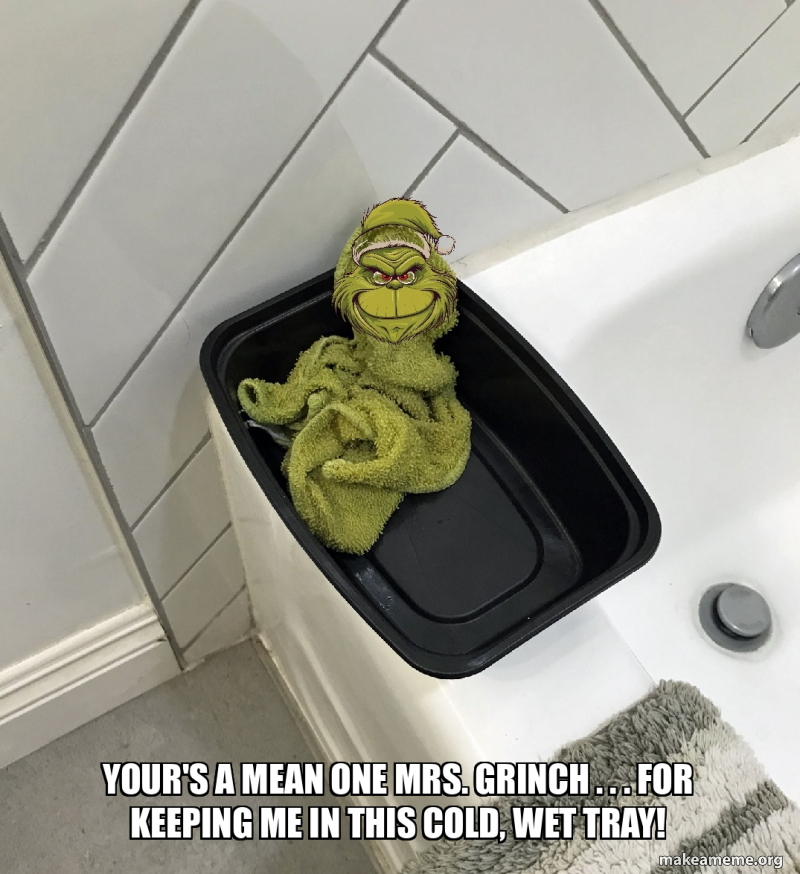 Your's a mean one mrs. grinch . . . for keeping me in this cold, wet ...