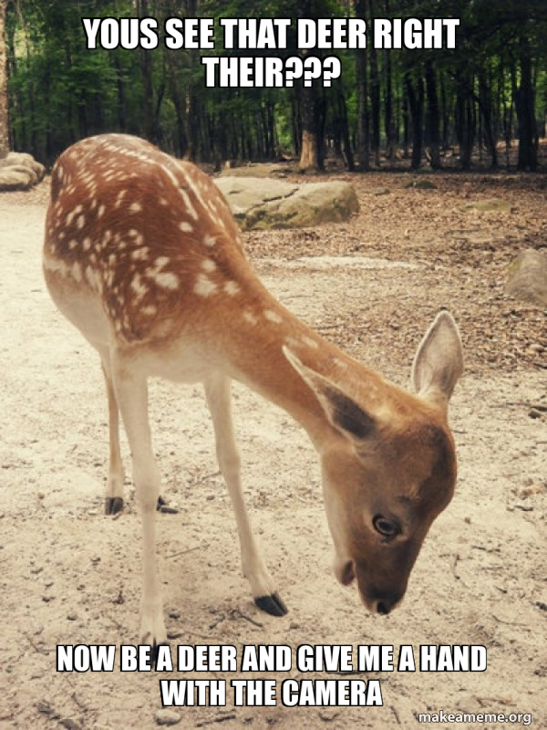 Yous see that deer right their??? Now be a deer and give me a hand with ...
