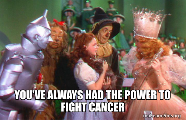 YOU'VE ALWAYS HAD THE POWER TO FIGHT CANCER Meme Generator