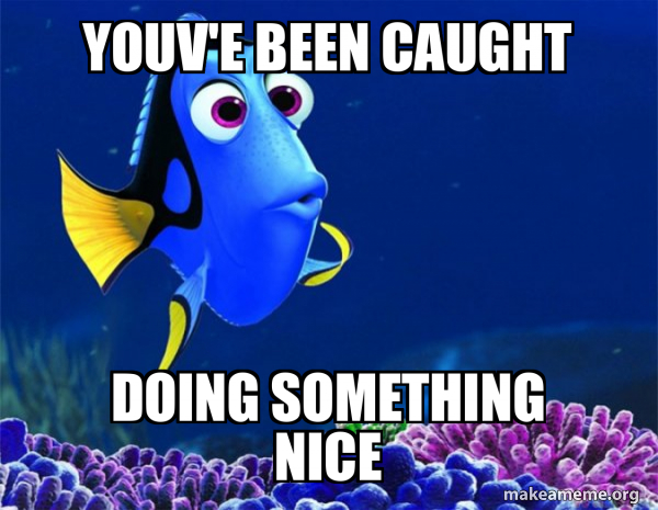 Youv'e been caught Doing something nice - Dory from Nemo (5 second ...