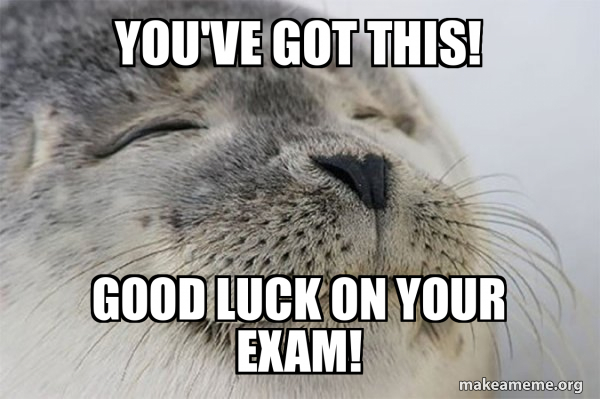 Good Luck On Finals Meme Cat