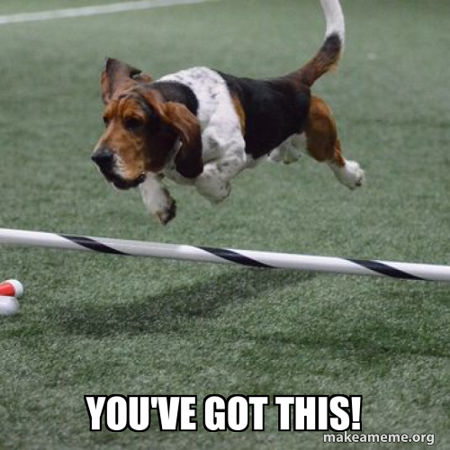 You've got this! Meme Generator