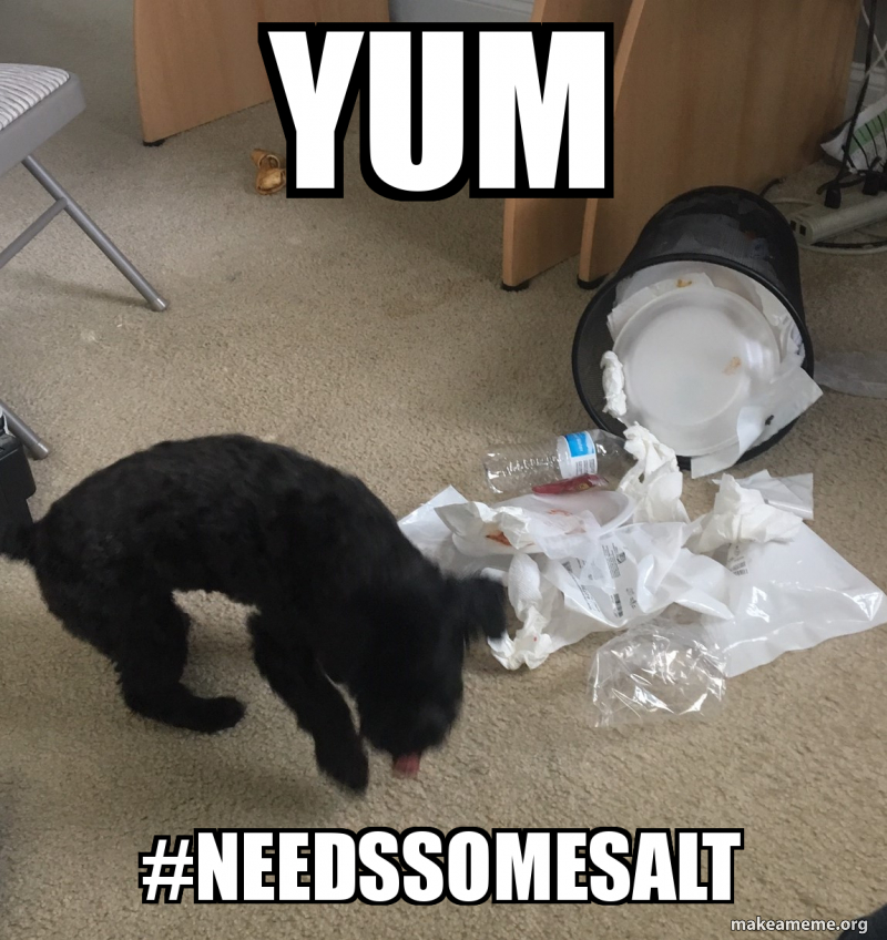 Yum #NeedsSomeSalt Meme Generator