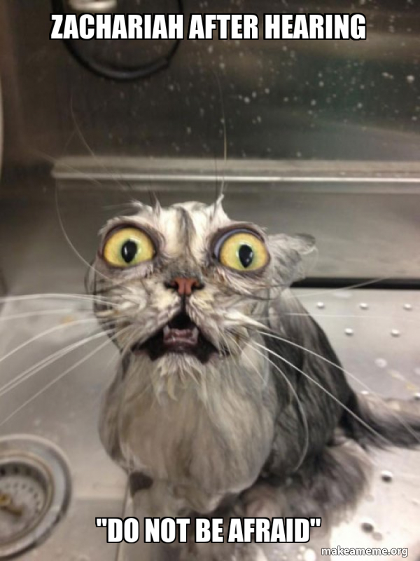 Zachariah after hearing "Do not be afraid" - Cat bath Meme Generator