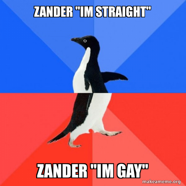 zander "Im straight" zander "Im gay" - Socially Awkward Awesome Penguin ...