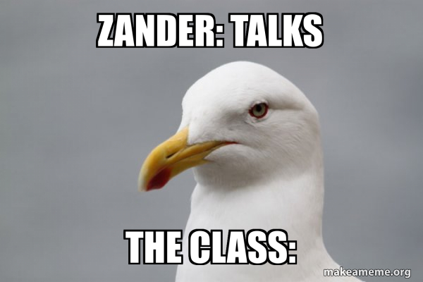 zander: talks the class: - Stuff That Didn't Happen Seagull Meme Generator