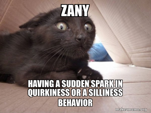 Zany Having a sudden spark in quirkiness or a silliness behavior ...