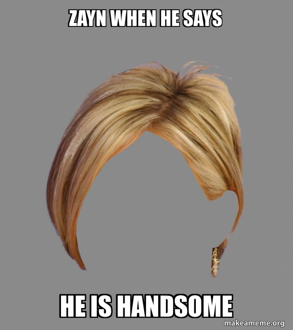 Zayn when he says he is handsome - The Karen Hair Meme Generator