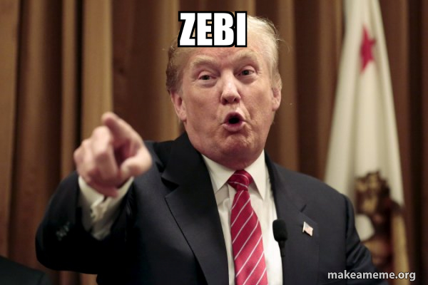 Zebi - Donald Trump Says Meme Generator