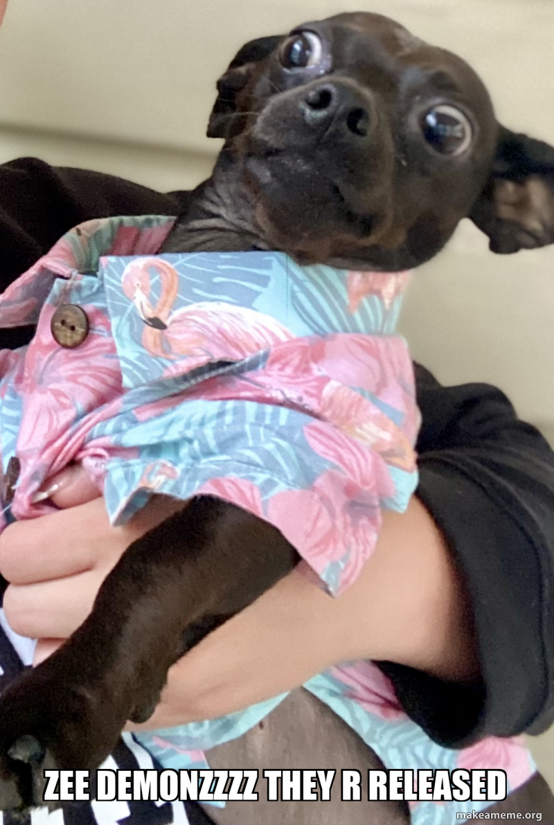 ZEE DEMONZZZZ THEY R RELEASED Meme Generator