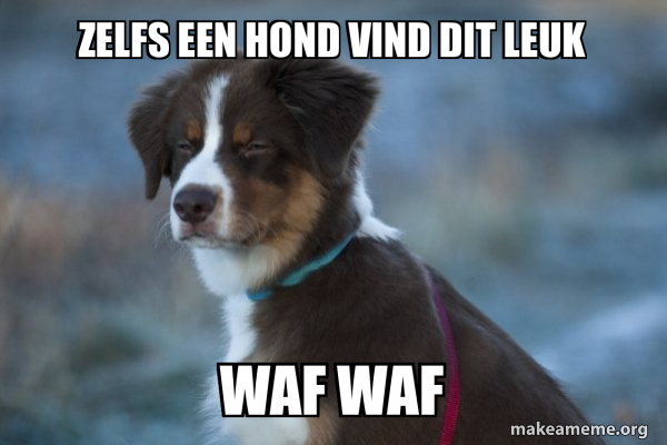 zelfs een hond vind dit leuk waf waf - Unsure Dog Meme Generator