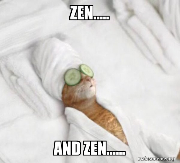 zen..... and zen...... - Pampered Cat Meme Meme Generator