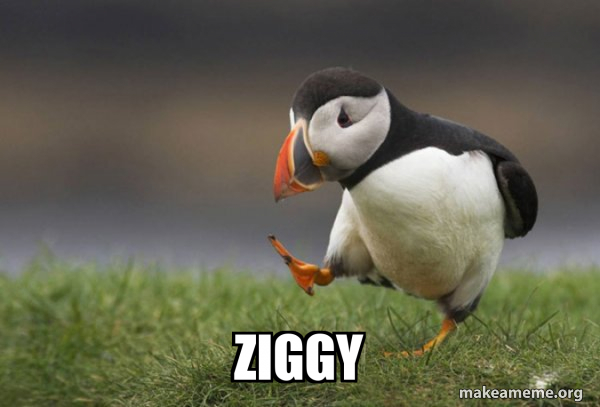 ziggy - Unpopular Opinion Puffin Meme Generator