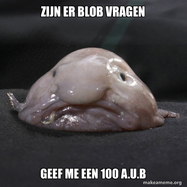 zijn er blob vragen geef me een 100 A.U.B - Blobfish Meme Generator