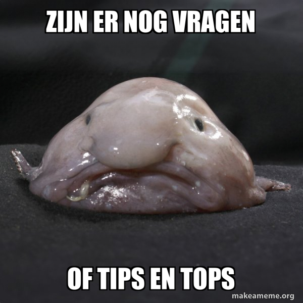 Zijn er nog vragen Of tips en tops - Blobfish Meme Generator