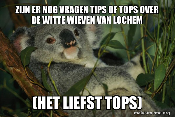 zijn er nog vragen tips of tops over de witte wieven van Lochem (het ...