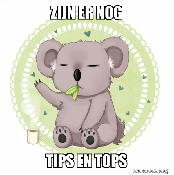 zijn er nog Tips en Tops - Aussie Koala doing the night shift Meme ...