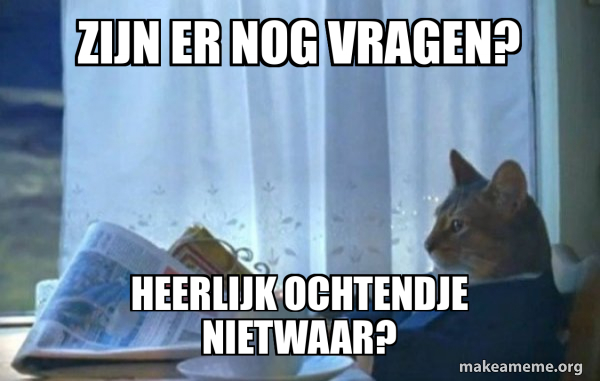 zijn er nog vragen? heerlijk ochtendje nietwaar? - Sophisticated Cat ...