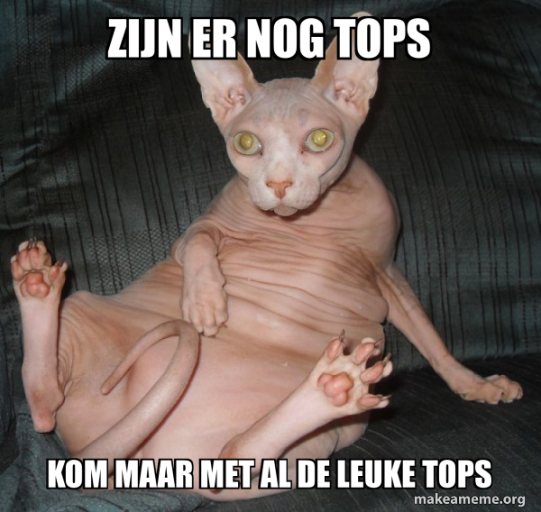 zijn er nog tops kom maar met al de leuke tops - Hairless Cat Meme ...