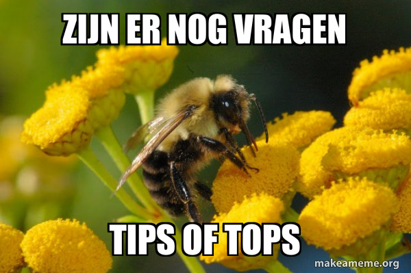 Zijn er nog vragen tips of tops - Good Guy Bee Meme Generator