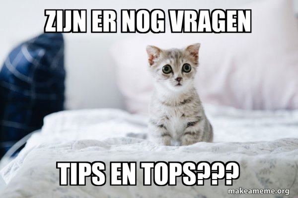 zijn er nog vragen tips en tops??? - Cute Kitten Meme Generator