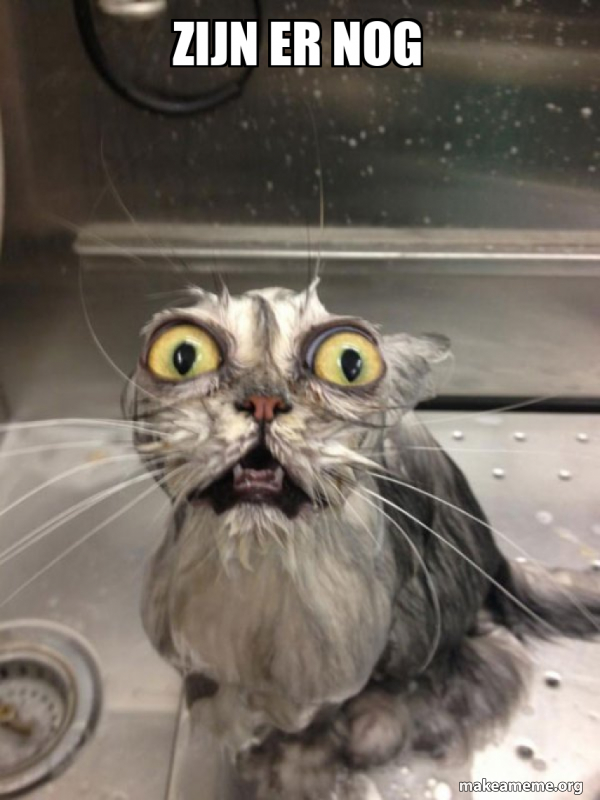zijn er nog - Cat bath Meme Generator