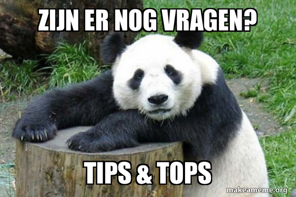 Zijn er nog vragen? Tips & tops - Confession Panda Meme Generator