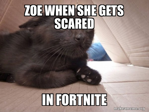 Zoe when she gets scared in FORTNITE - Schitzo Cat Meme Generator
