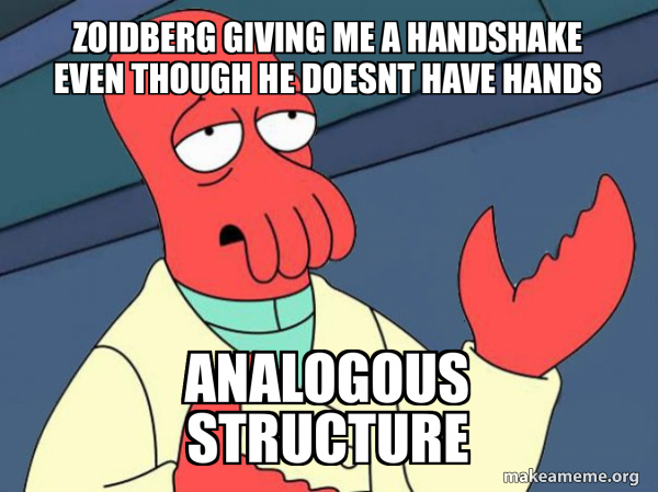 Zoidberg giving me a handshake even though he doesnt have hands ...