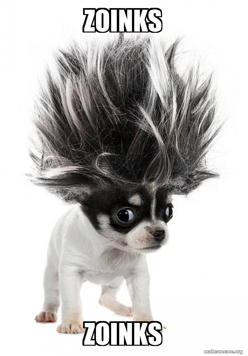 zoinks zoinks Meme Generator