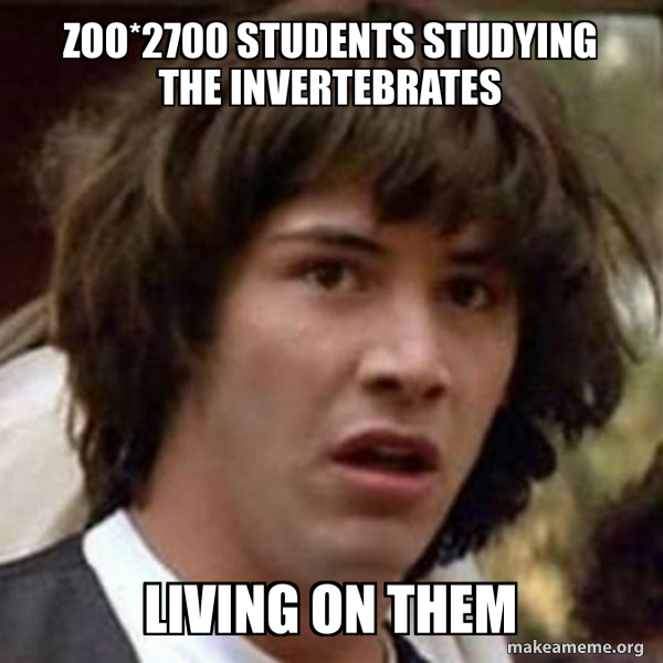 ZOO*2700 Students studying the invertebrates Living On Them ...