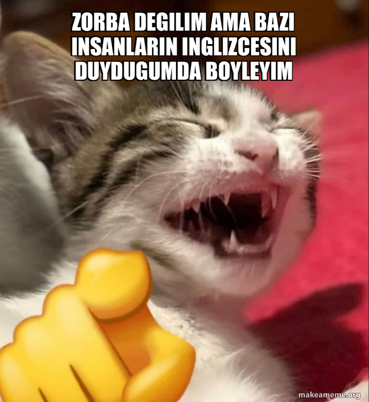 zorba degilim ama bazı ınsanların inglızcesını duydugumda boyleyım Meme ...