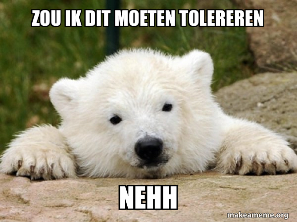 zou ik dit moeten tolereren nehh - Popular Opinion Bear Meme Generator