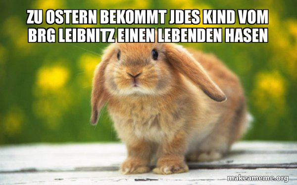 Zu ostern bekommt jdes Kind vom BRG Leibnitz einen lebenden Hasen ...