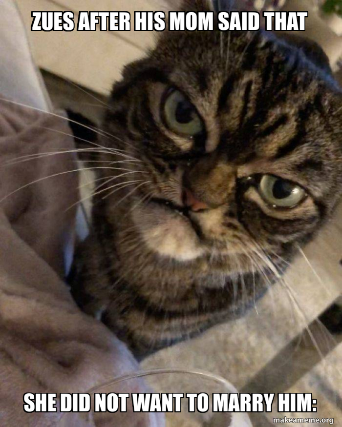 zues after his mom said that she did not want to marry him: Meme Generator