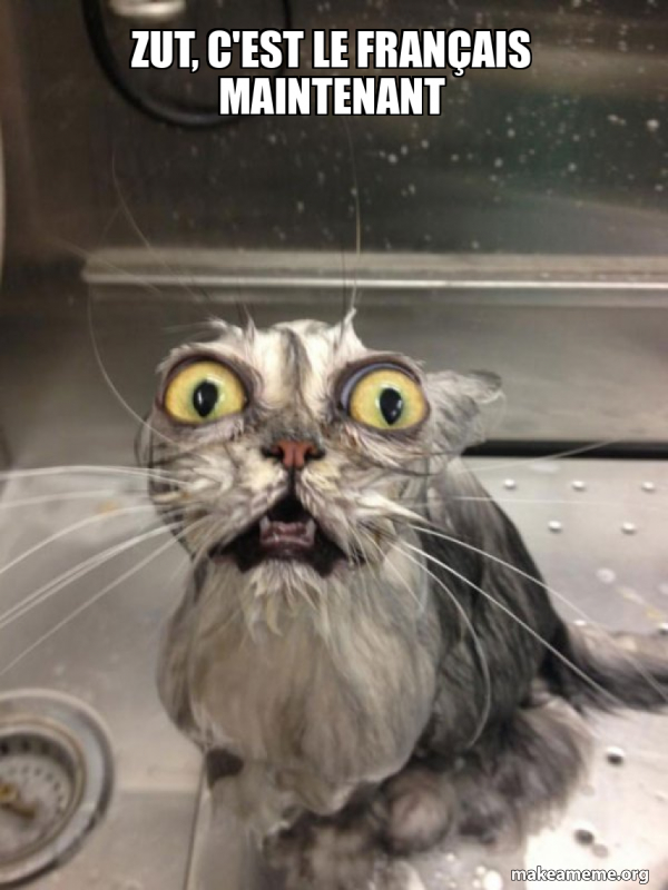 Zut, c'est le français maintenant - Cat bath Meme Generator