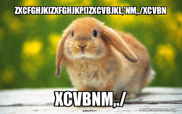 zxcfghjk[ZXfghjkp[]zxcvbjkl;'nm,./xcvbn xcvbnm,./ - Regretful Rabbit ...