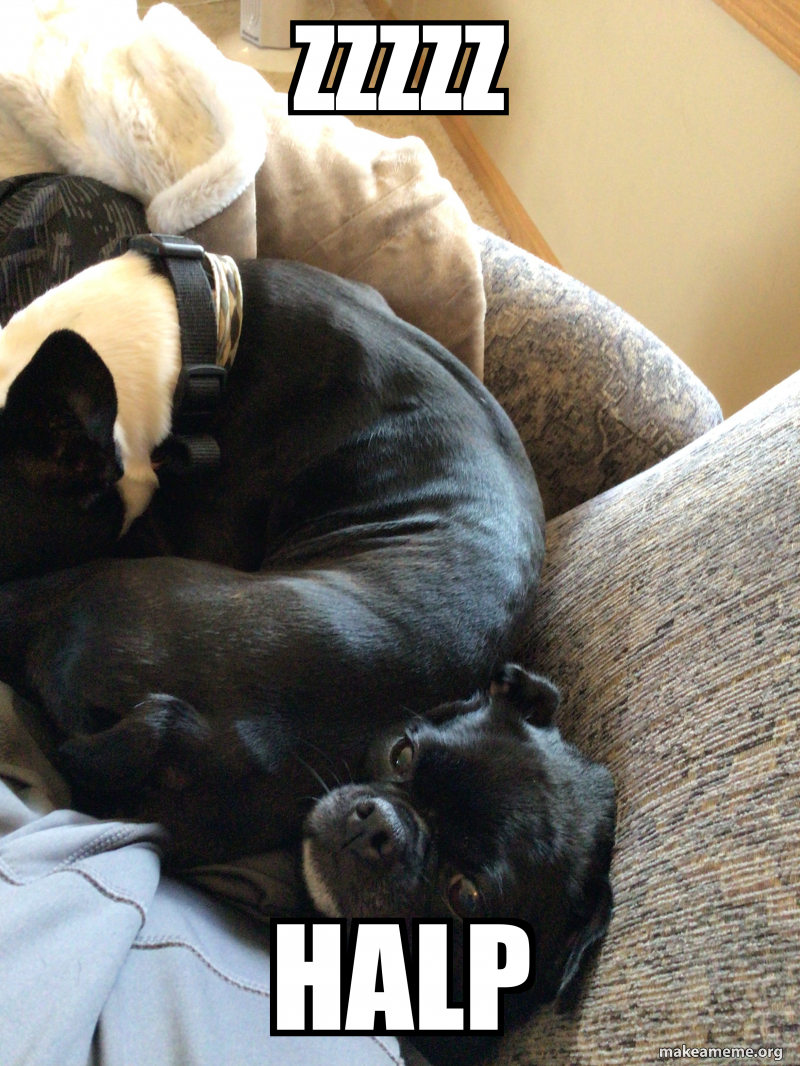 Zzzzz Halp Meme Generator