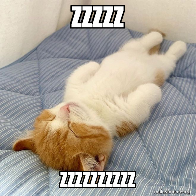 zzzzz zzzzzzzzzz Meme Generator